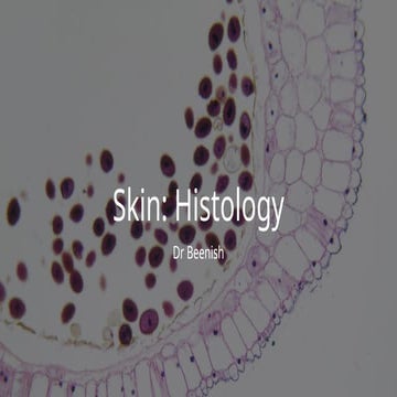 Skin Histology, Skin Glands, Skin Slides | PPTX