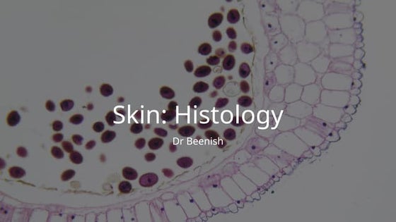 Skin Histology.pptx. Skin Histology , Microscopic images | PPT