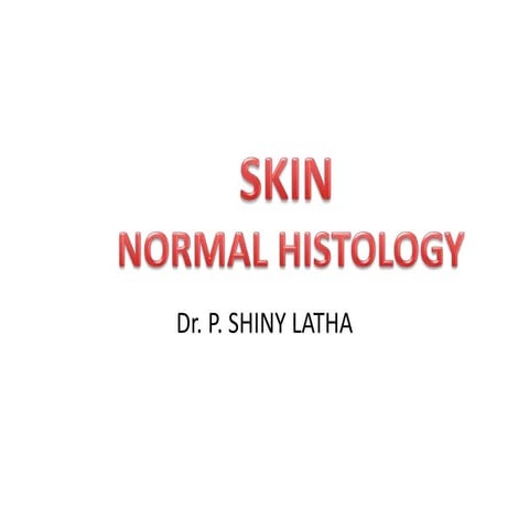 Normal Skin histology | PPTX