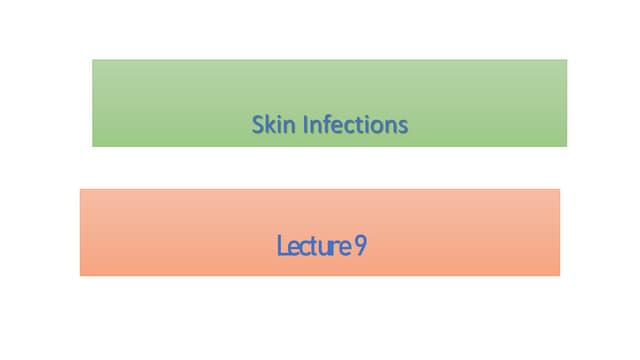 Impetigo | PPTX | Infectious Diseases | Diseases and Conditions