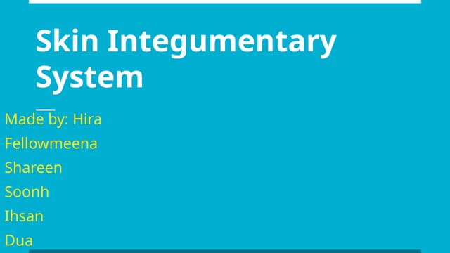 The integumentary system | PPTX