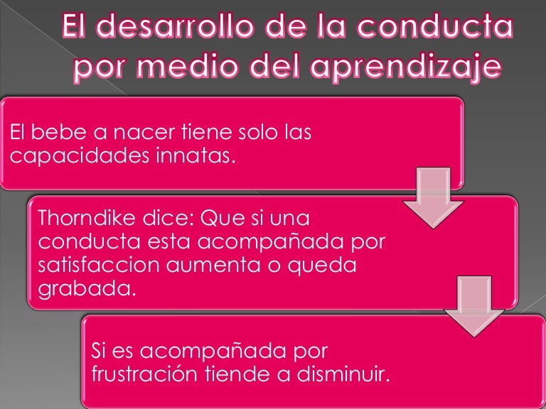 Descubre la Teoría de la Personalidad de Skinner: Claves para entender ...