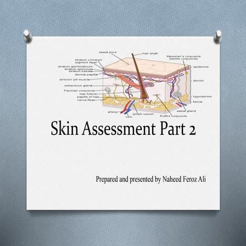 skin part 2.pptx | Blood Disorders | Diseases and Conditions