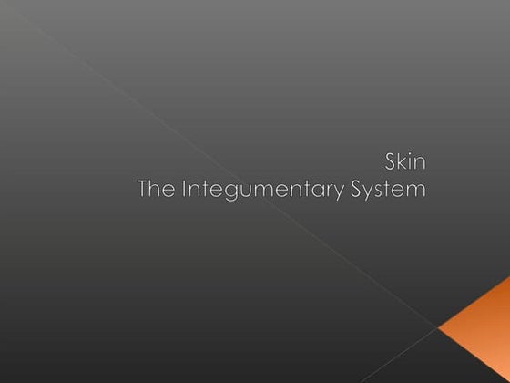 Skin: Structure and function of the skin | PPTX