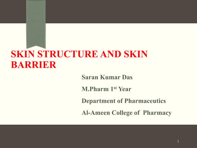 Skin: Structure and function of the skin | PPTX