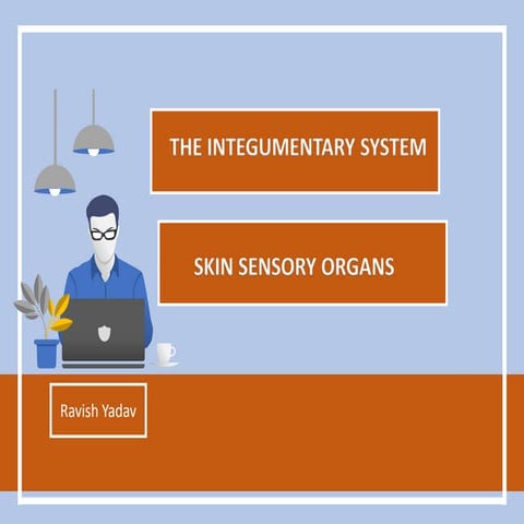 Skin and nail ( the integumentary system) | PPTX