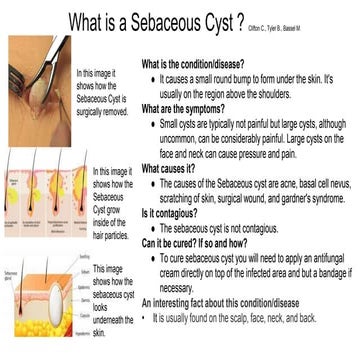 Skin slides2016 | PPTX