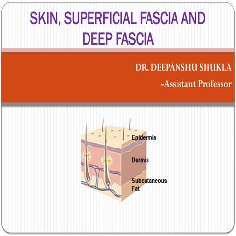 Superficial & deep fascia | PPTX