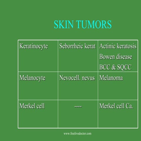 Skin tumors | PPT