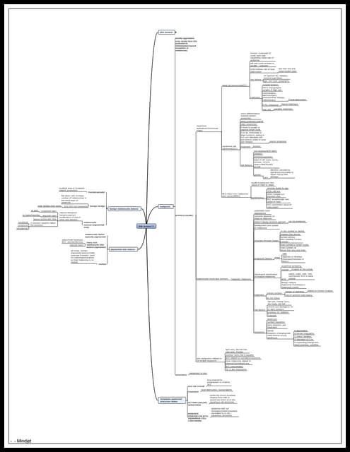 Cnslm immunology mind map | PDF