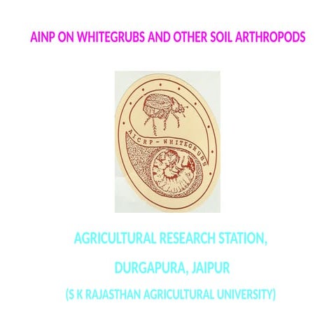 ppt on white grubs and their life cycles | PPTX