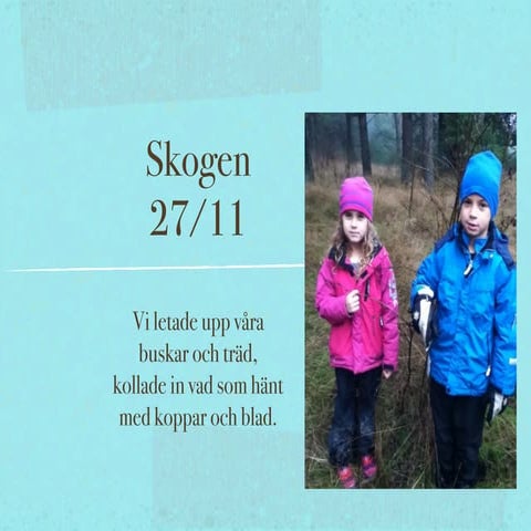 Skogen 27:11 | KEY