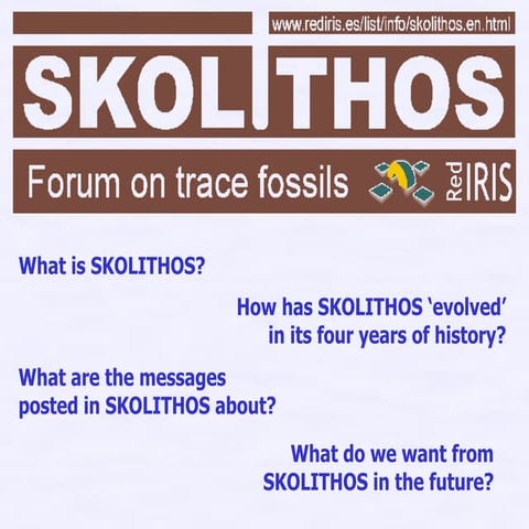 Skolithos | PPT