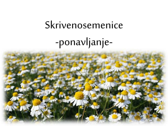 Beskicmenjaci prepoznaj me | PPTX