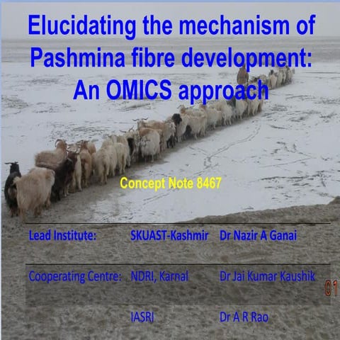 National Fund project on Pashmina Goat | PDF | Genetics | Science