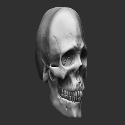 Skull digital sculpt | PDF