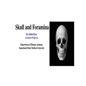 SKULL AND FORAMINA in anatomy science of mbbs | PPTX