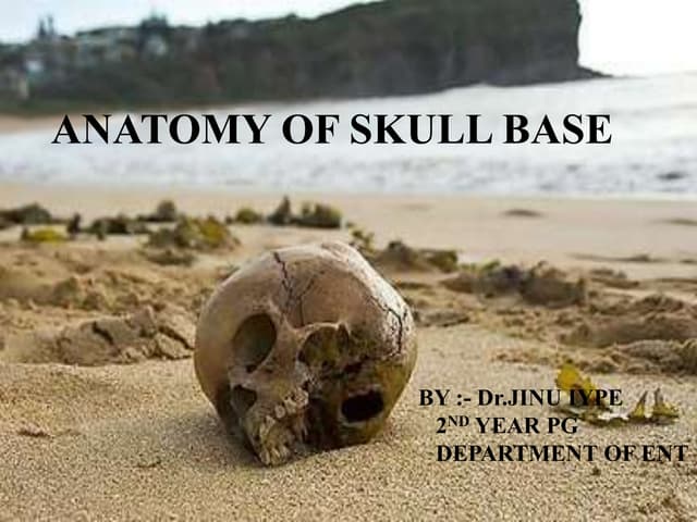 Cranial fossae in base of the human skull | PDF