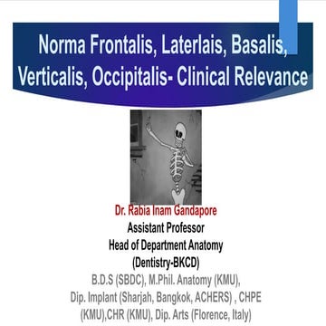 SKULL, Norma Frontalis, Lateralis, Basalis, Verticalis, Occipitalis ...
