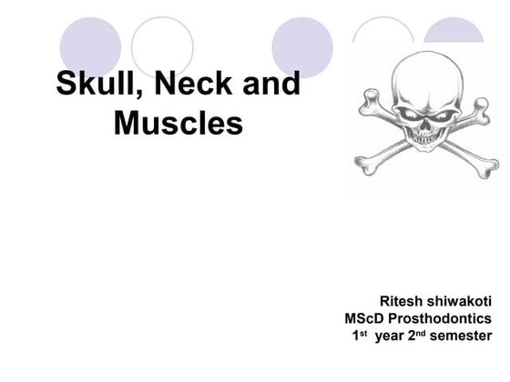 anatomy of human skull | PPT