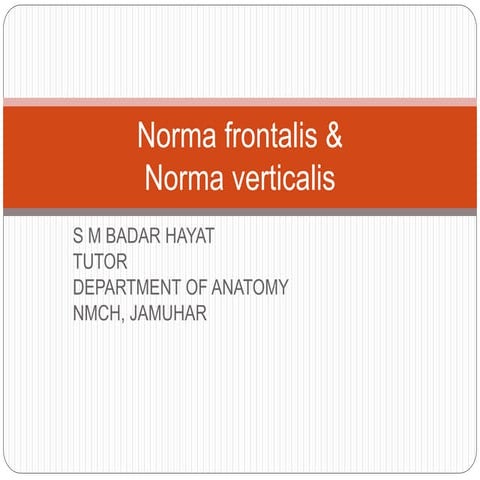 Anatomy head and neck(norma frontalis) | PDF