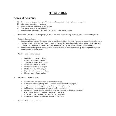 Skull notes | DOCX