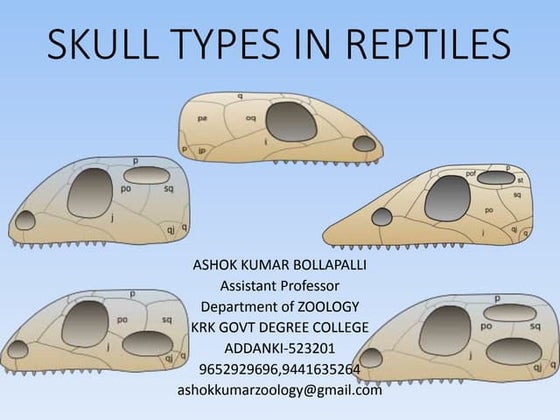 Classification of reptilia | PPT