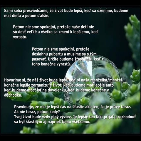 Skutocne stastie | PPS