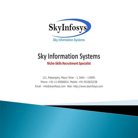 Sky Information Systems - Profile | PDF