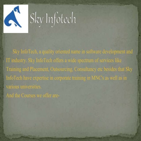 Sky Infotech | PPTX