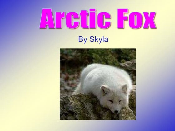 Arctic Fox by George | PPT