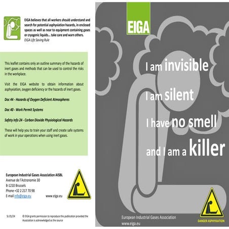 Safety Protocols and Best Practices in Handling Nitrogen Gas.pptx