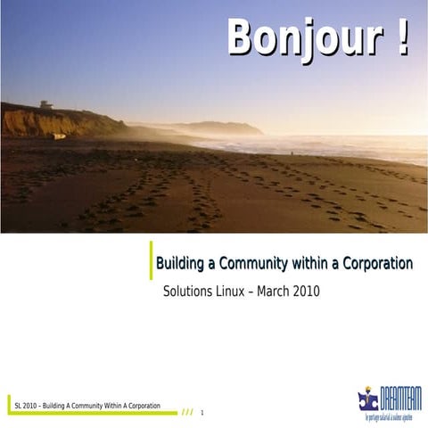 Building a Community Within A Corporation | PDF
