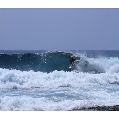 Bill Malloy Venture Capital Surf 24 | PDF