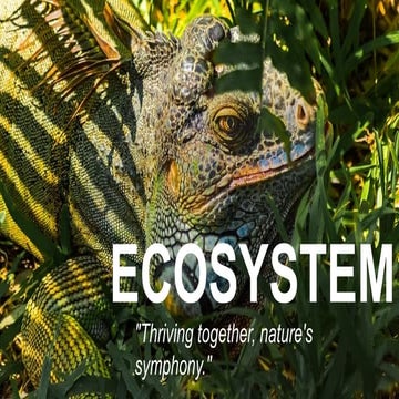 INTRODUCTION TO ECOSYSTEM | PPTX