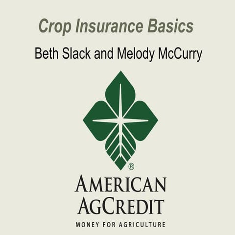 Slack crop insurance basics | PDF