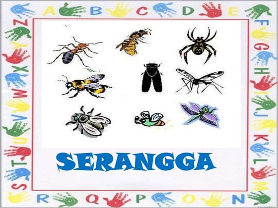 Slaid cuacapptx | PPT