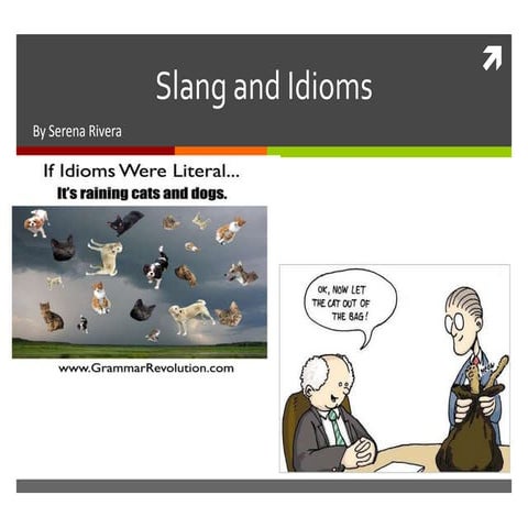 Slang and Idioms for ESL Students and Teachers | PPTX