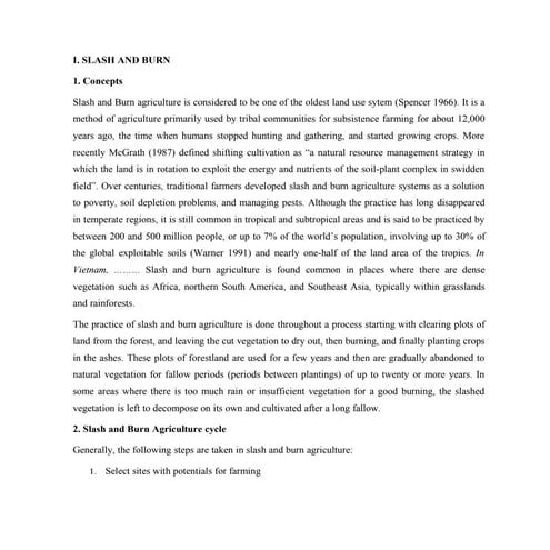 Slash And Burn | PDF