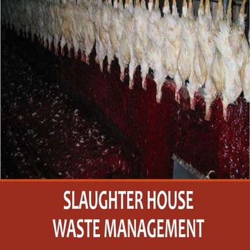 Slaughter house | PPTX