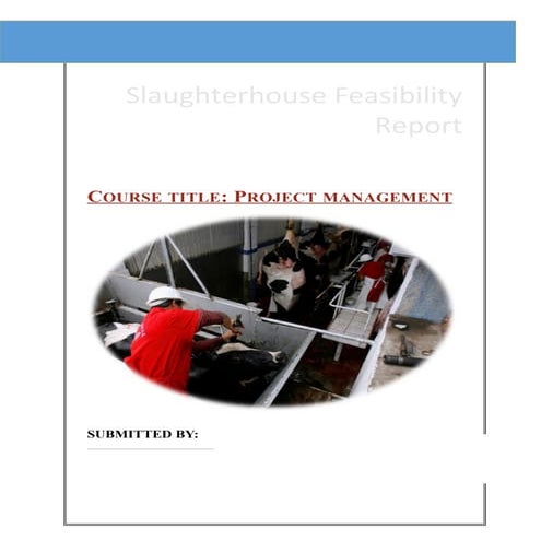Slaughter-house feasibility report | RTF