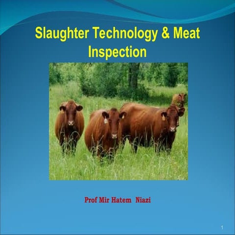 Slaughterhouse PPT.pptx
