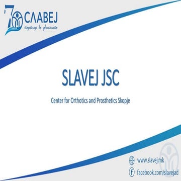 Slavej JSC | PPTX | Business | Business and Finance