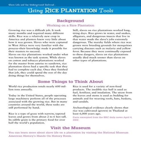 Stono rebellion worksheet | DOC