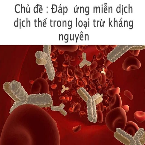 mien dich dich the | PPTX