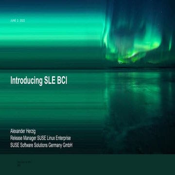 SLE BCI | PPT