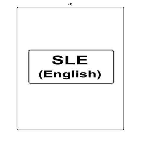 SLE CLASS X .pdf