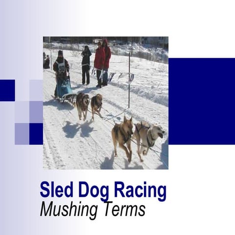 Sled Dog Racing Mushing Terms | PPT