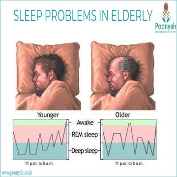 Sleep Disorders: Types, Causes and Treatment | Solh Wellness