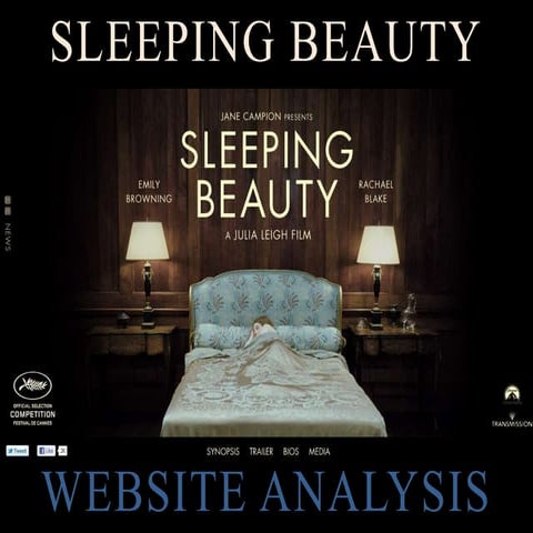 Sleeping Beauty Website Analysis | PPT